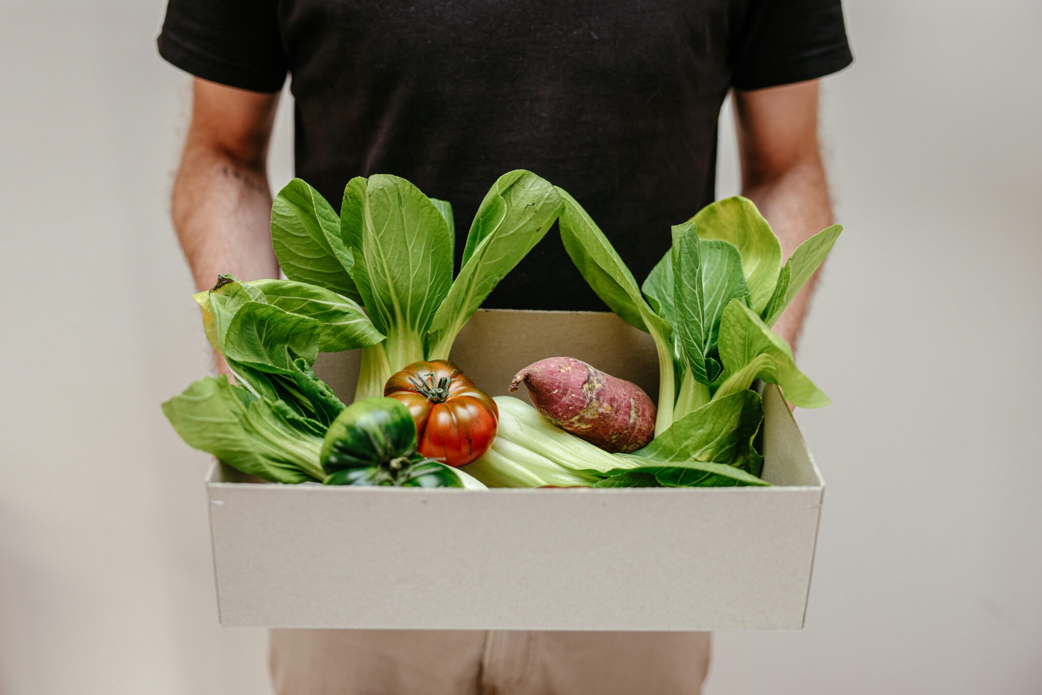 Plant-Based Diet for Beginners: A Green Start to Healthier Living ...