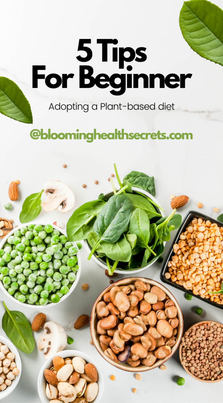 Plant-Based Diet for Beginners: A Green Start to Healthier Living ...